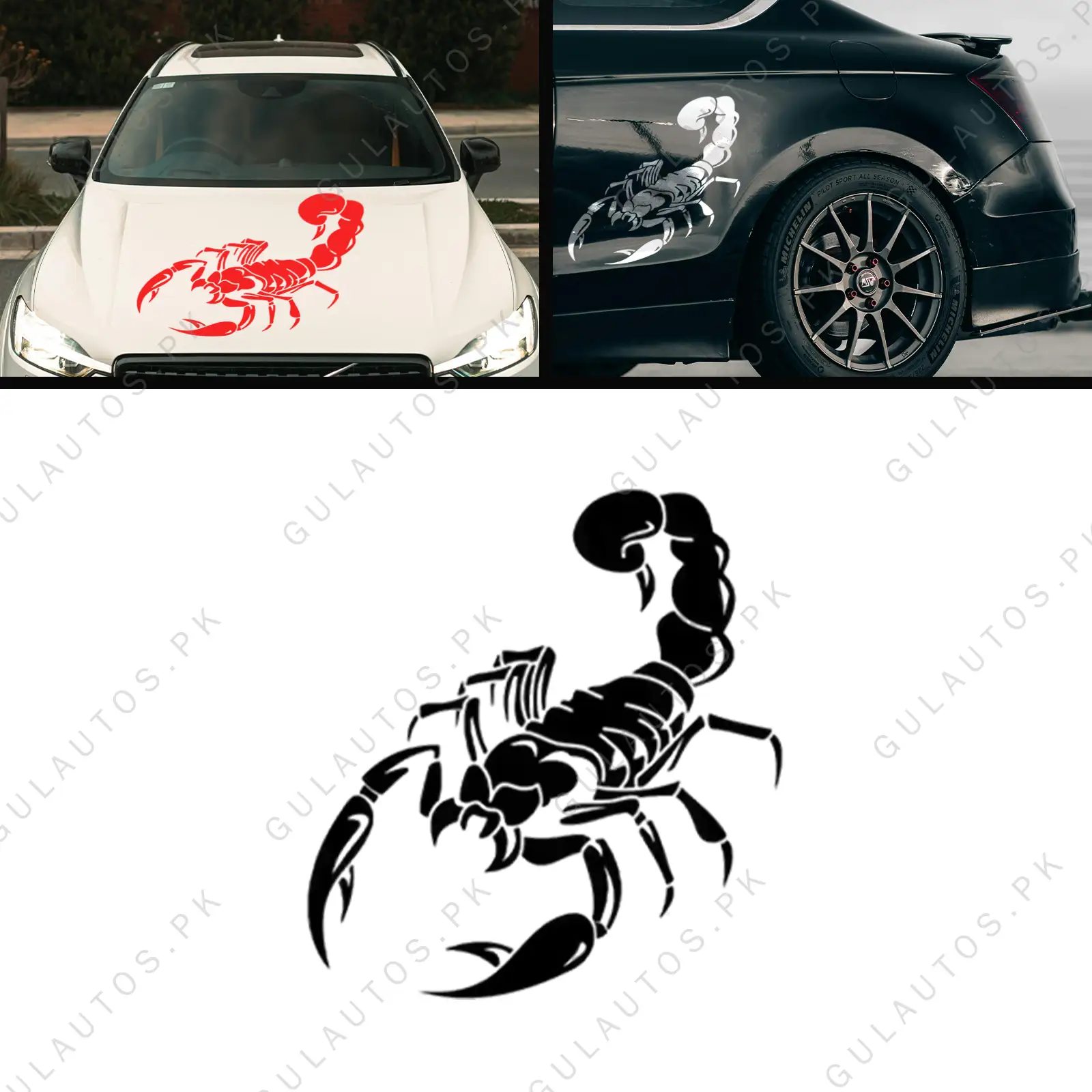 Scorpion Car Sticker By Gul Autos